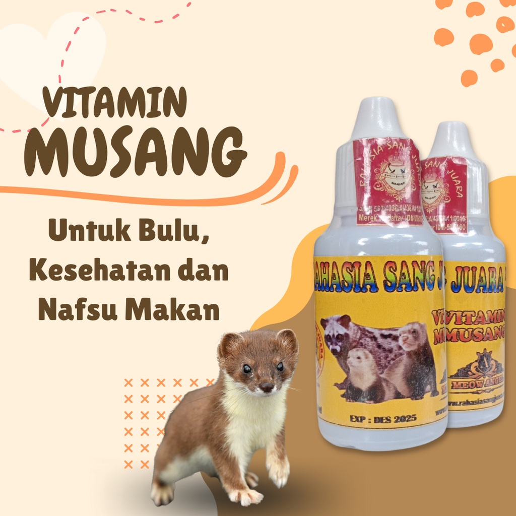 Jual VITAMIN MUSANG PANDAN MENAMBAH NAFSU MAKAN DAN TAMBAH GEMUK OBES ...