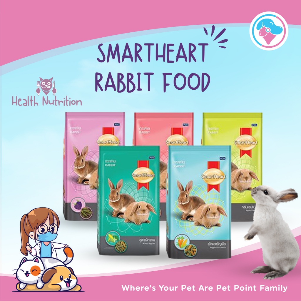 Jual ANIMAX RABBIT FOOD - Makanan Kelinci Rasa Rumput Hijau 800 gram ...