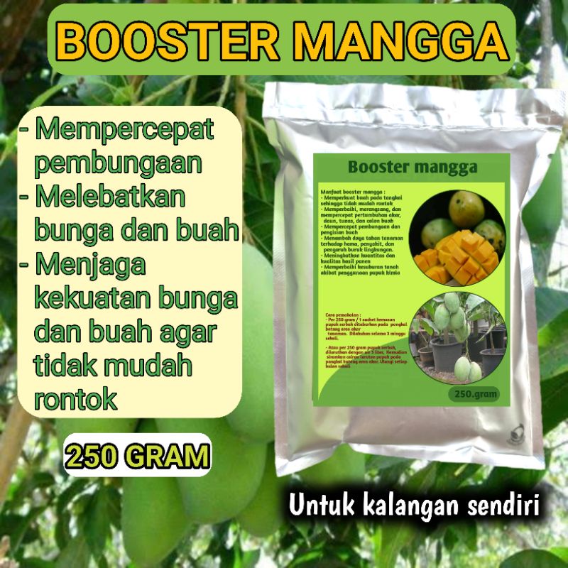 Jual Pupuk booster mangga 250 gram perangsang bunga dan pelebat buah ...
