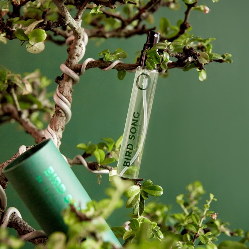 Jual Oullu Bird Song 15ml EDP | Shopee Indonesia