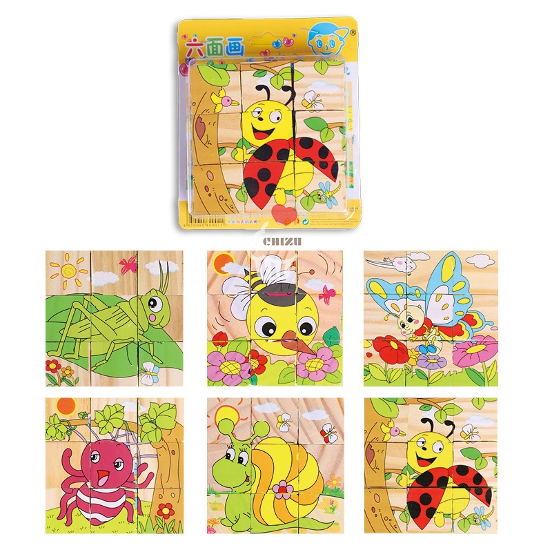 Jual Six Sided Cube Puzzle 9 Pcs | Puzzel Kubus 6 Enam Sisi 6in1 9pcs ...