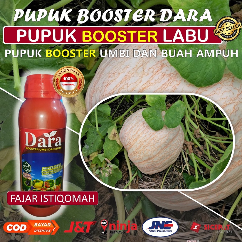 Jual pupuk tanaman manjur DARA 500 ML, pupuk booster umbi dan buah pada ...