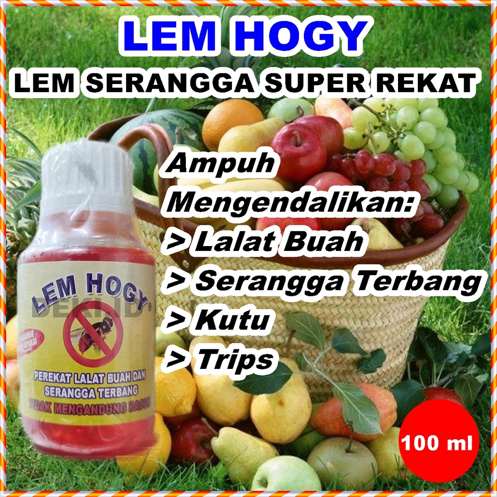 Jual Lem Hogy 100 ML Perangkap Hama Perekat Lalat Buah Serangga Terbang ...