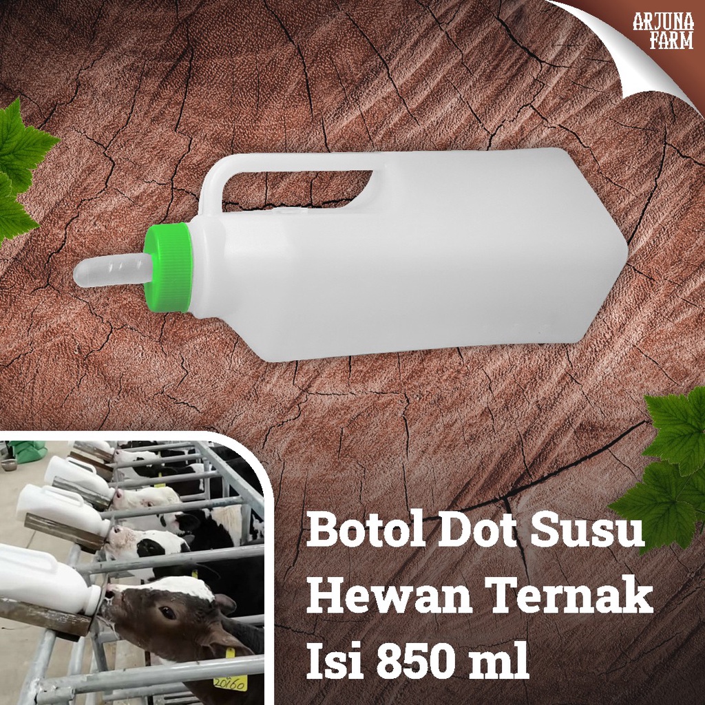 Jual BOTOL MINUM SAPI PEDET ANAK SAPI KUDA KERBAU BOTOL MINUM ANAK KUDA ...