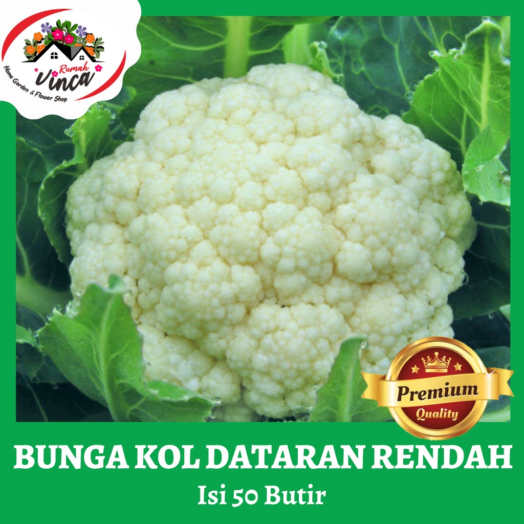 Jual Benih Bibit Sayur Bunga Kol Dataran Rendah 50 butir Cap Panah ...