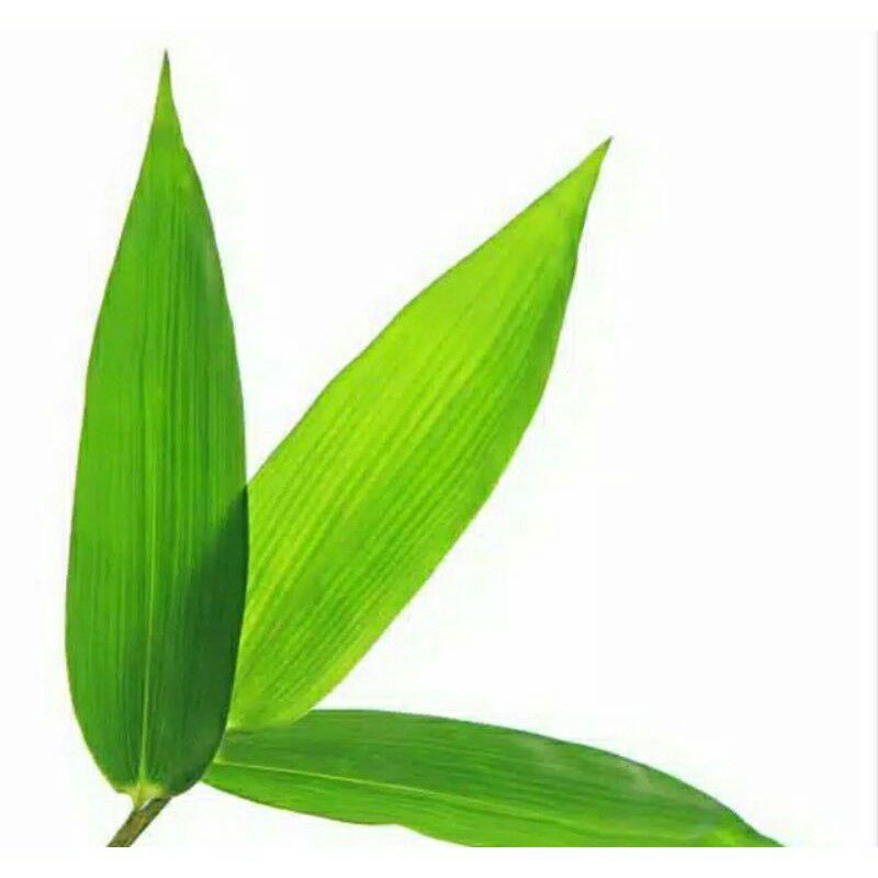 Jual daun bambu/lembar | Shopee Indonesia