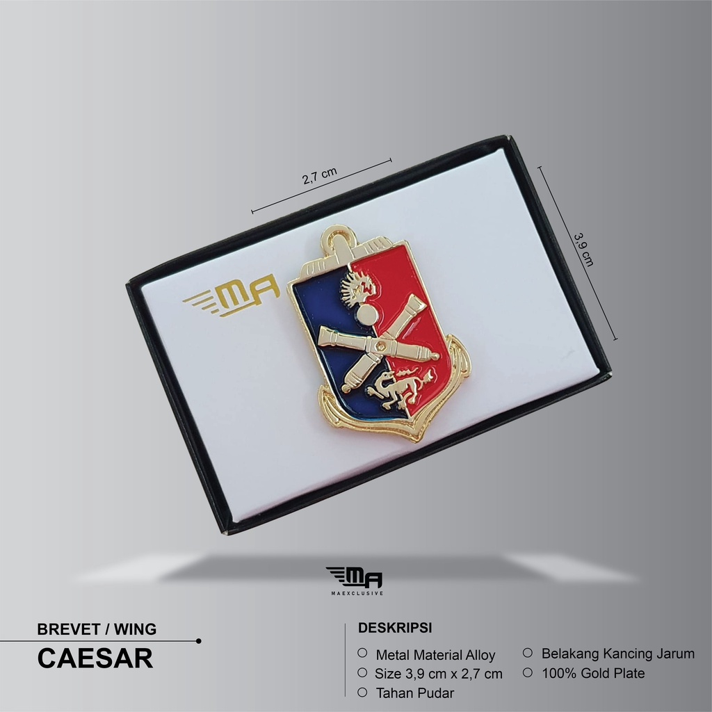 Jual WING CAESAR PDH BRIVET BREVET PIN SESAR | Shopee Indonesia