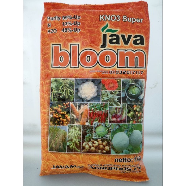 Jual java bloom 1kg | Shopee Indonesia