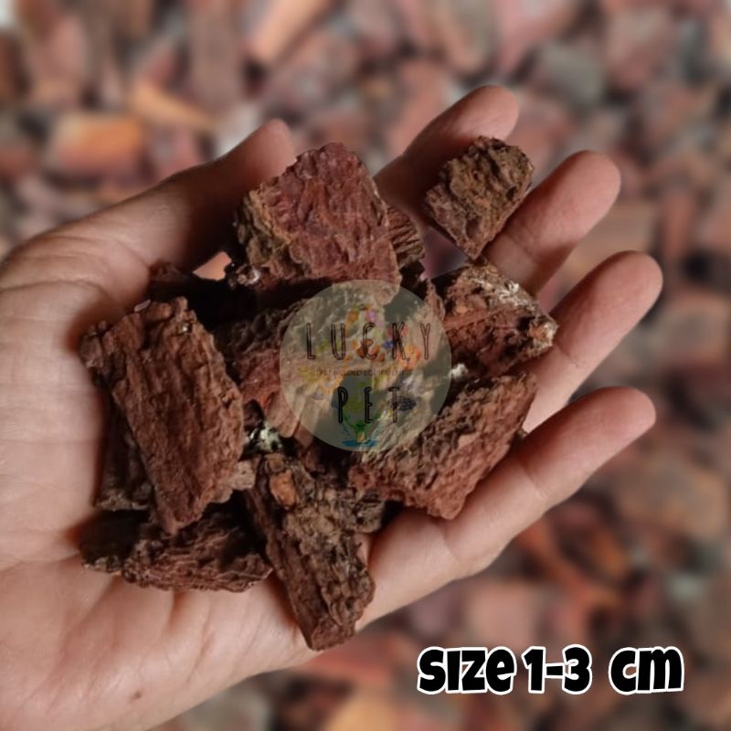 Jual [500 GR] Forest bark pine bark alas kandang substrate substart ...