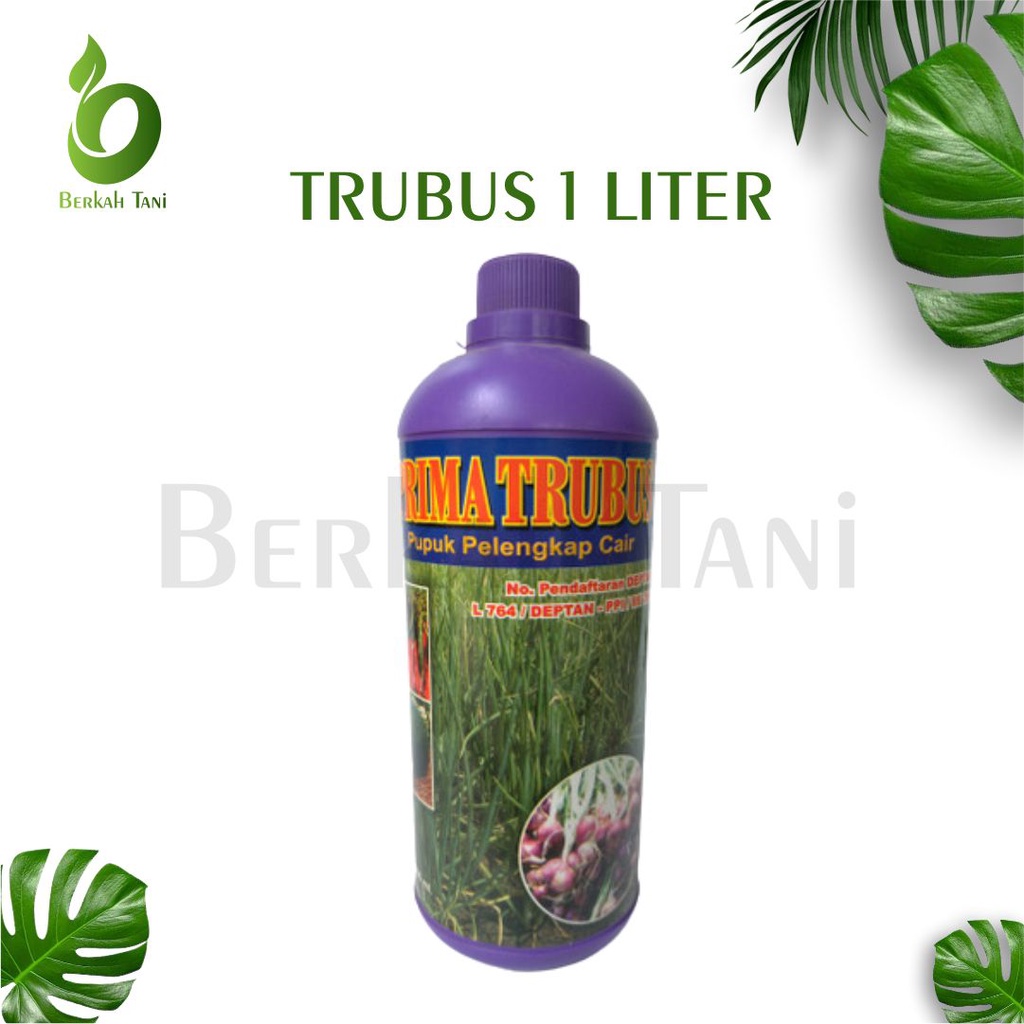 Jual PUPUK PELENGKAP CAIR BEEN TRUBUS PLUS ZPT 1 liter | Shopee Indonesia