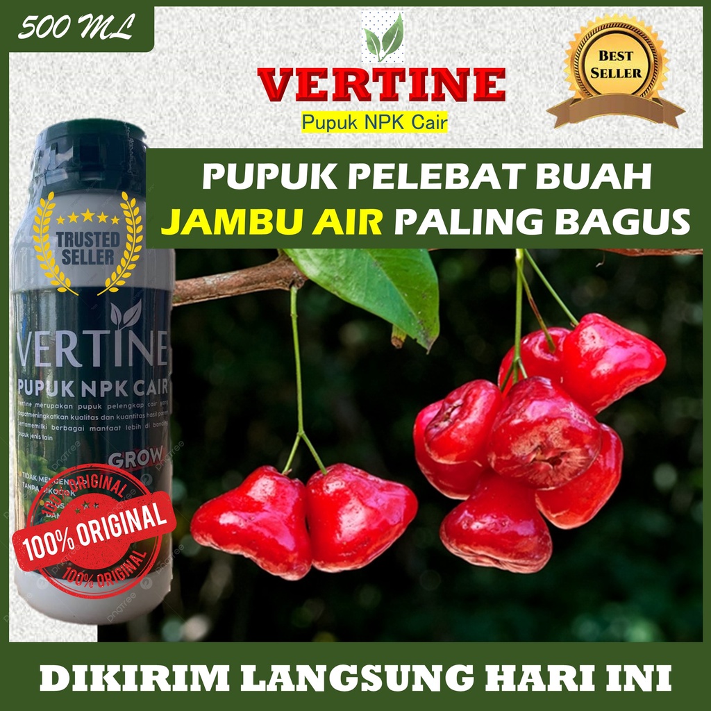 Jual PUPUK ORGANIK BOOSTER OBAT PELEBAT BUAH JAMBU AIR PALING AMPUH - VERTINE GROW 50ML | Shopee ...