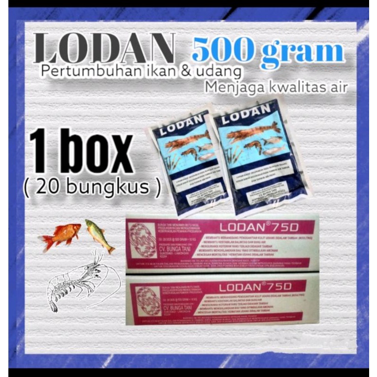 Jual lodan 500 1 doz lodan 1 box (20 sachet) | Shopee Indonesia