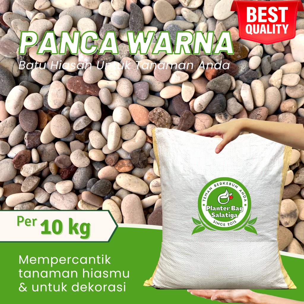Jual Batu Koral Panca Warna 10 Kg Warna Warni Tanaman Hias Alam Murah | Shopee Indonesia