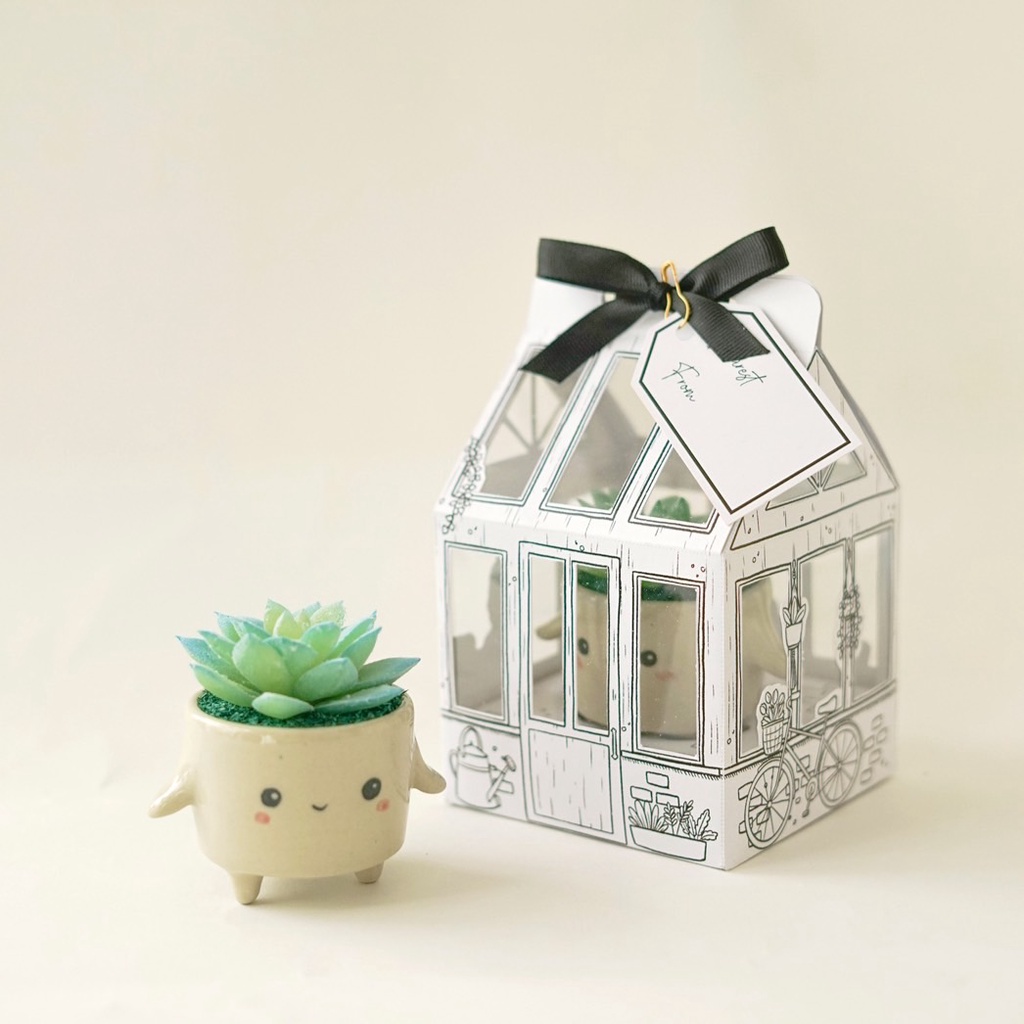 Jual Paul The Plant blind box | Shopee Indonesia