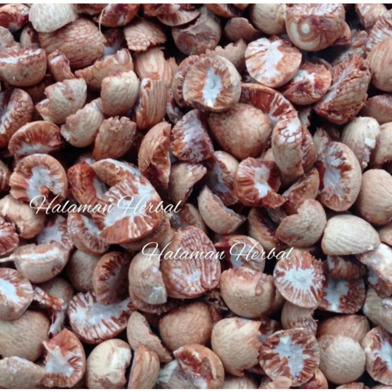 Jual pinang kering belah dua 500 gram | Shopee Indonesia