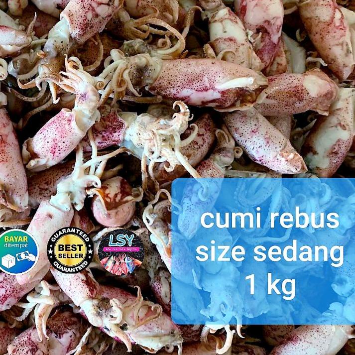 Jual ikan asin cumi rebus / sotong rebus size sedang 1kg | Shopee Indonesia