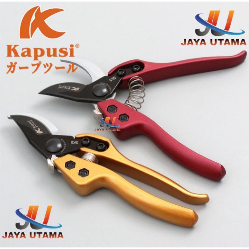 Jual Kapusi Gunting Dahan Bonsai Stek Ranting Stainless Steel Heavy ...