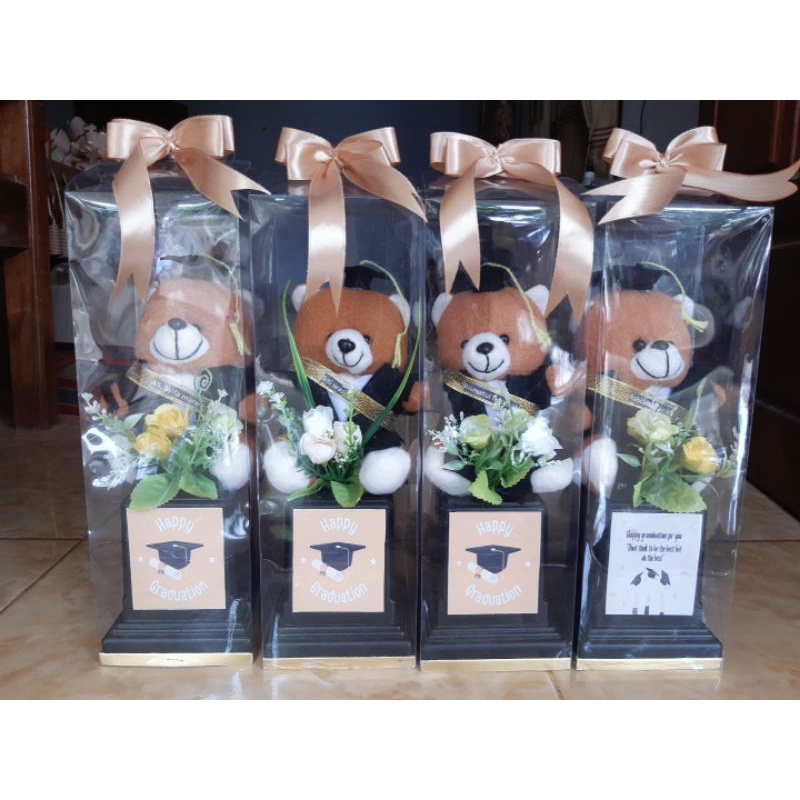 Jual Boneka wisuda dan provesi dengan tambahan mika tebal. | Shopee ...