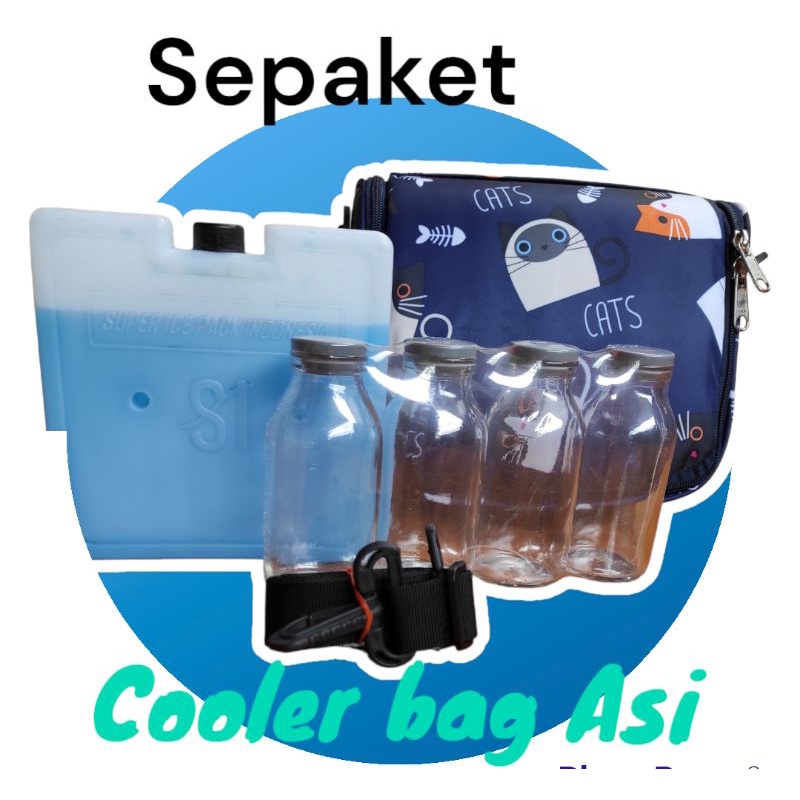 Jual Cooler Bag Asi SEPAKET Ice Gel Pack + 4 Botol Asi Kaca | Shopee ...