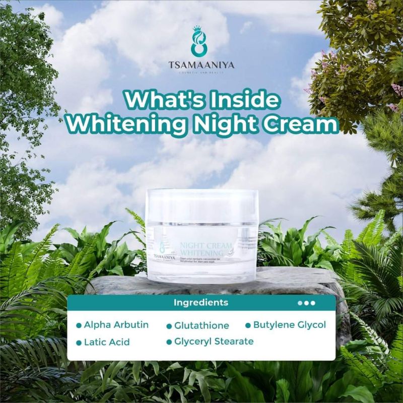 Jual Paket Hemat ALLSKIN TYPE( Night Cream & Toner/Sabun) | Shopee ...