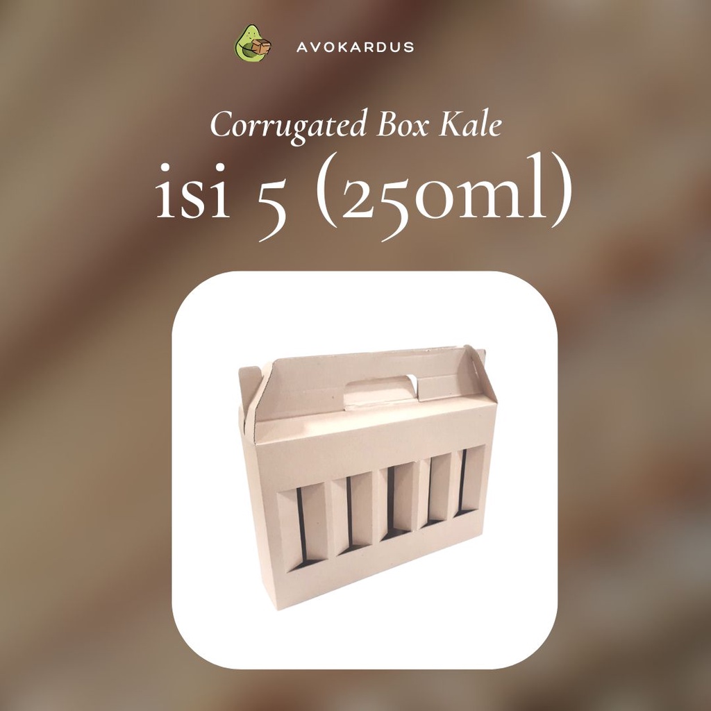 Jual Kardus Corrugated Die Cut 28x5.5x18 HandleBox Dus Botol kale 250gr ...