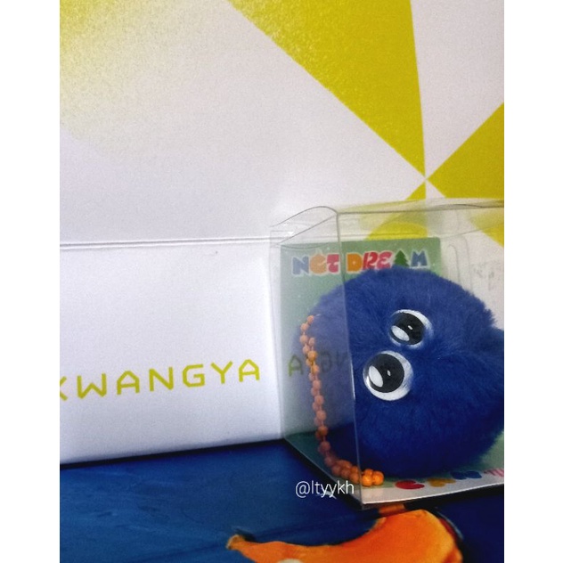 Jual NCT DREAM DANJI KEYRING MARK | Shopee Indonesia