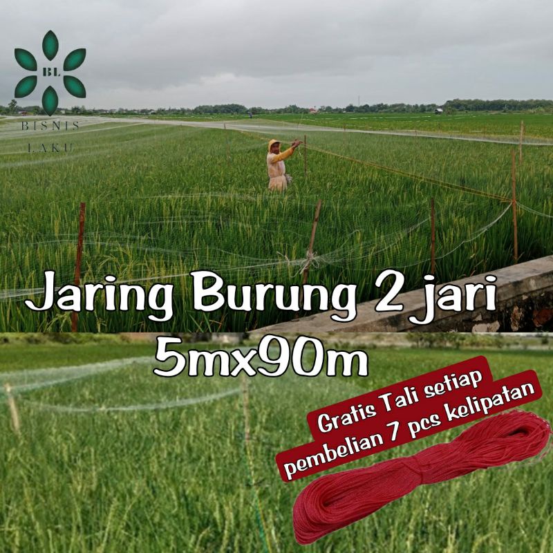 Jual [gratis tali minimal 7pcs] JARING BURUNG EMPRIT 2" 2 JARI/ JARING ...