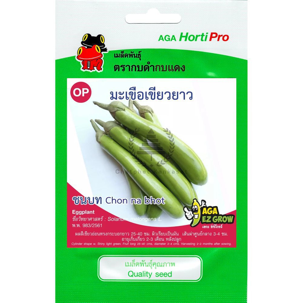Jual Produk Baru biji 2022 biji montok pedesaan terong panjang ayat ... Jual Produk Baru biji 2022 biji montok pedesaan terong panjang ayat ...