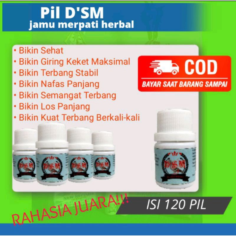Jual PIL DSM JAMU BURUNG MERPATI SEHAT PILL D'SM BURUNG DARA | Shopee ...