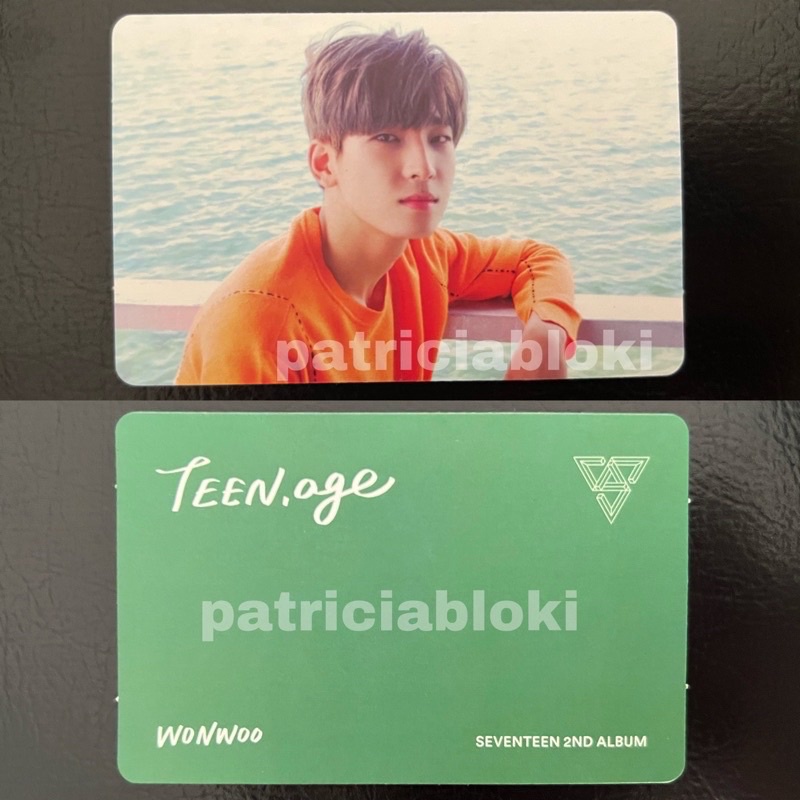Jual Official Photocard Wonwoo Seventeen Pc Album Teen Age Green Ver TA Green Batangas mingyu ...