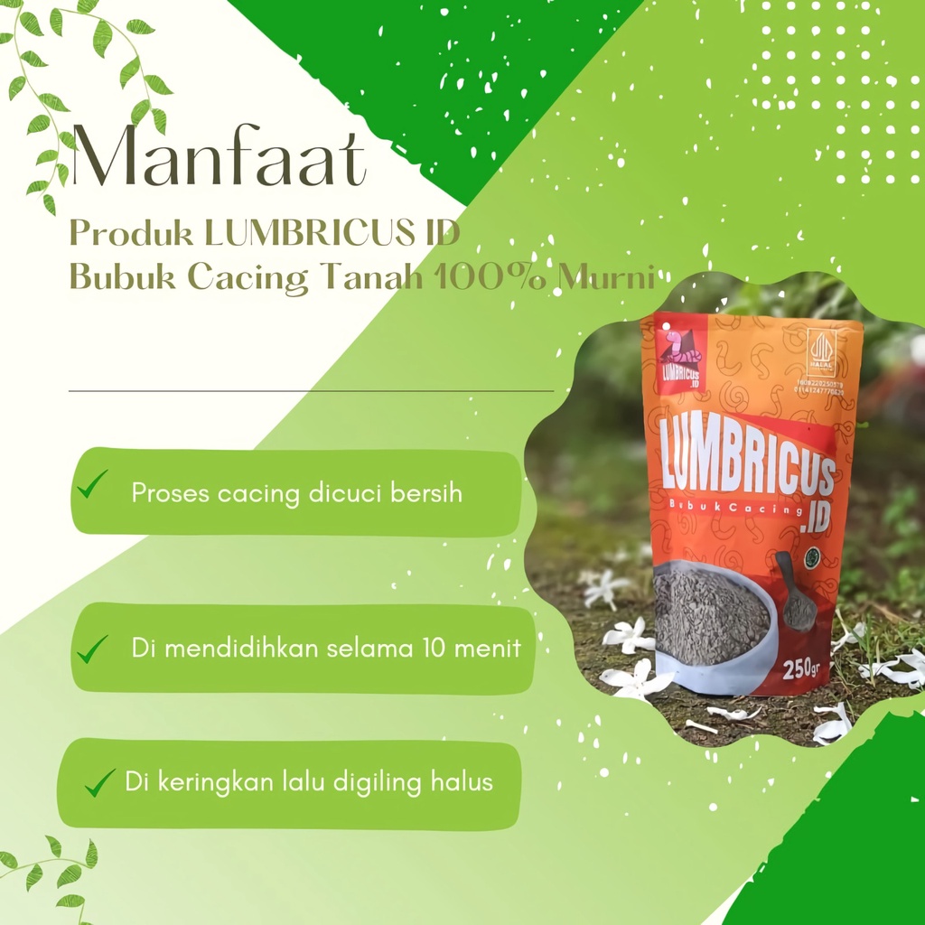 Jual Obat Tipes Bubuk Cacing Lumbricus Rubeluss Cacing Tanah Garansi ...