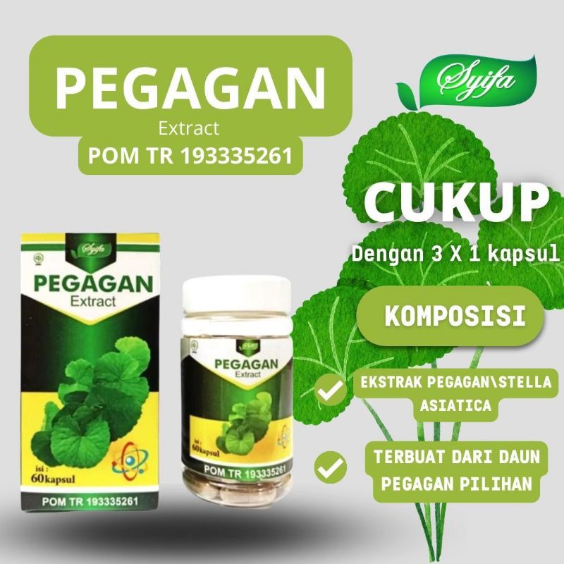 Jual Kapsul Ekstrak Pegagan Obat Vitamin Suplemen Nutrisi Herbal Penambah Peningkat Kecerdasan ...