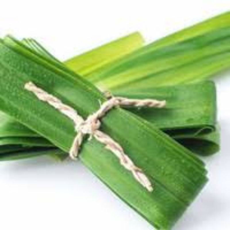 Jual Pandan wangi 1 ikat isi 10 daun | Shopee Indonesia