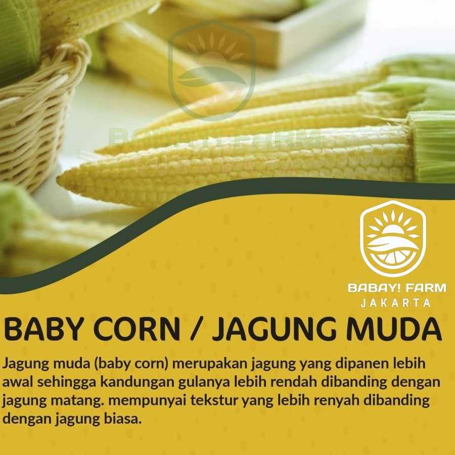Jual Jagung Muda / Baby Corn / Jagung Acar / Janten / Putren | Shopee ...