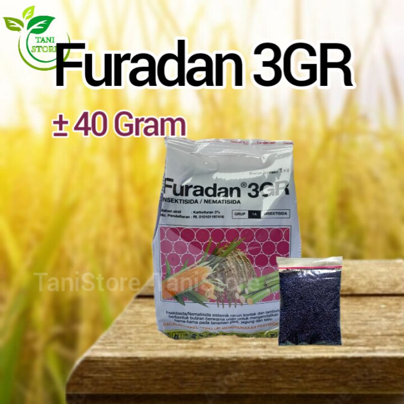 Jual 40 gram furadan 3GR | Shopee Indonesia