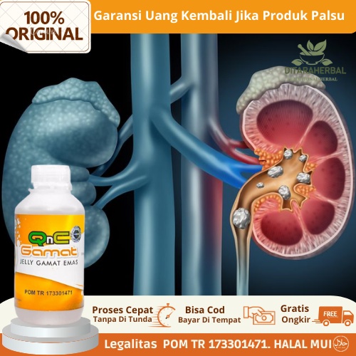 Jual Obat Ginjal Bocor, Obat Nyeri Ginjal, Obat Kebocoran Ginjal, Obat ...