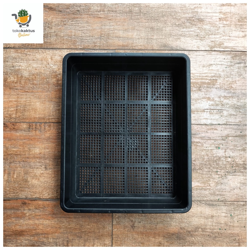 Jual Tray Tanaman Import Thailand Size M, Baki Tanaman, Tatakan Pot ...