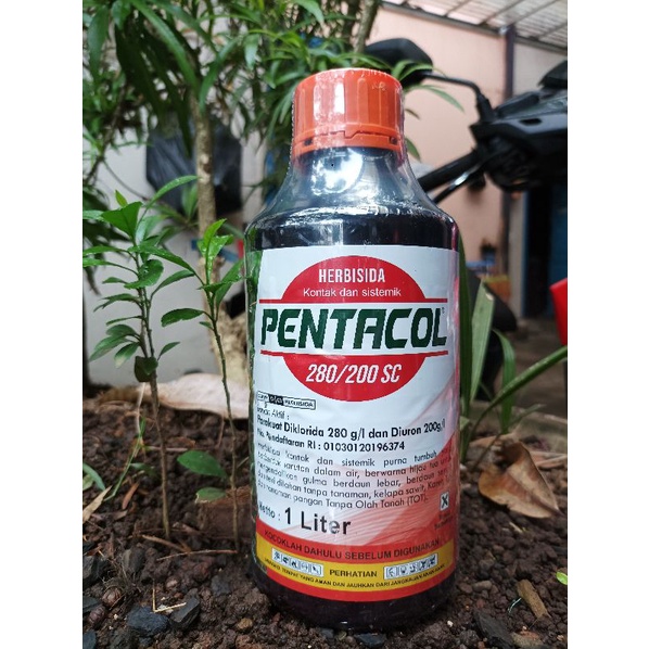 Jual PENTACOL 1L Herbisida Kontak Sistemik Basmi Rumput Cepat Sampai ...