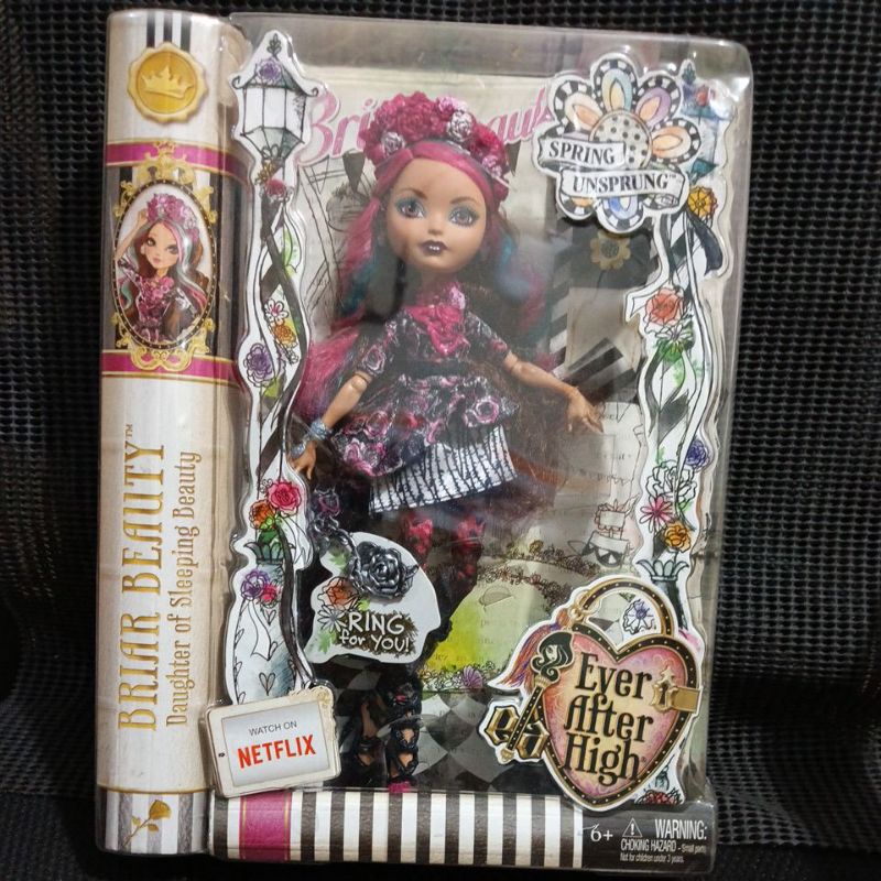 Jual Barbie Ever After High BRIAR BEAUTY Daughter of Sleeping Beauty ...