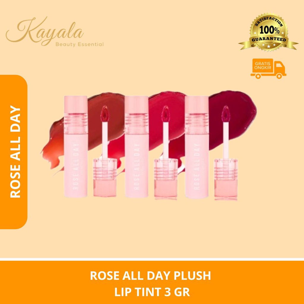 Jual ROSE ALL DAY PLUSH LIP TINT 3 GR - LIP TINT ROSE ALL DAY - LIP ...
