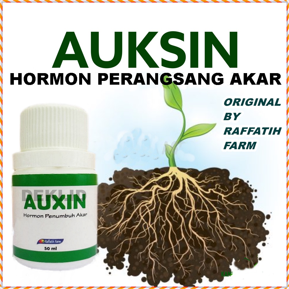 Jual Auxin Perangsang dan Hormon Pertumbuhan Akar Tanaman Stek Anggur ...