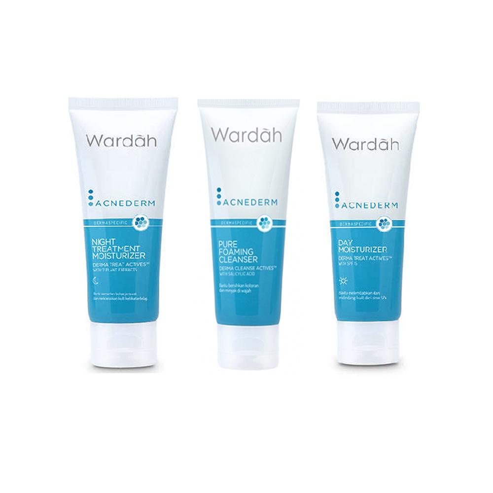 Jual Wardah Paket Acnederm - 3Pcs ( Day Moisturizer 40ml + Pure Foaming ...