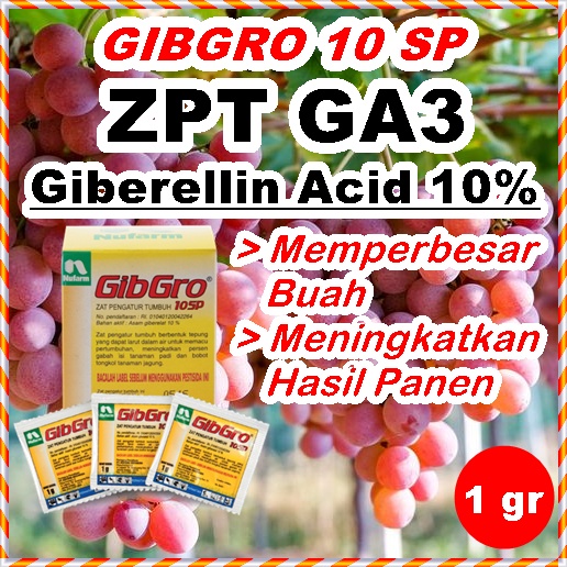 Jual Gibgro 10 SP Hormon GA3 Giberelin Acid ZPT Asam Giberelat Zat ...