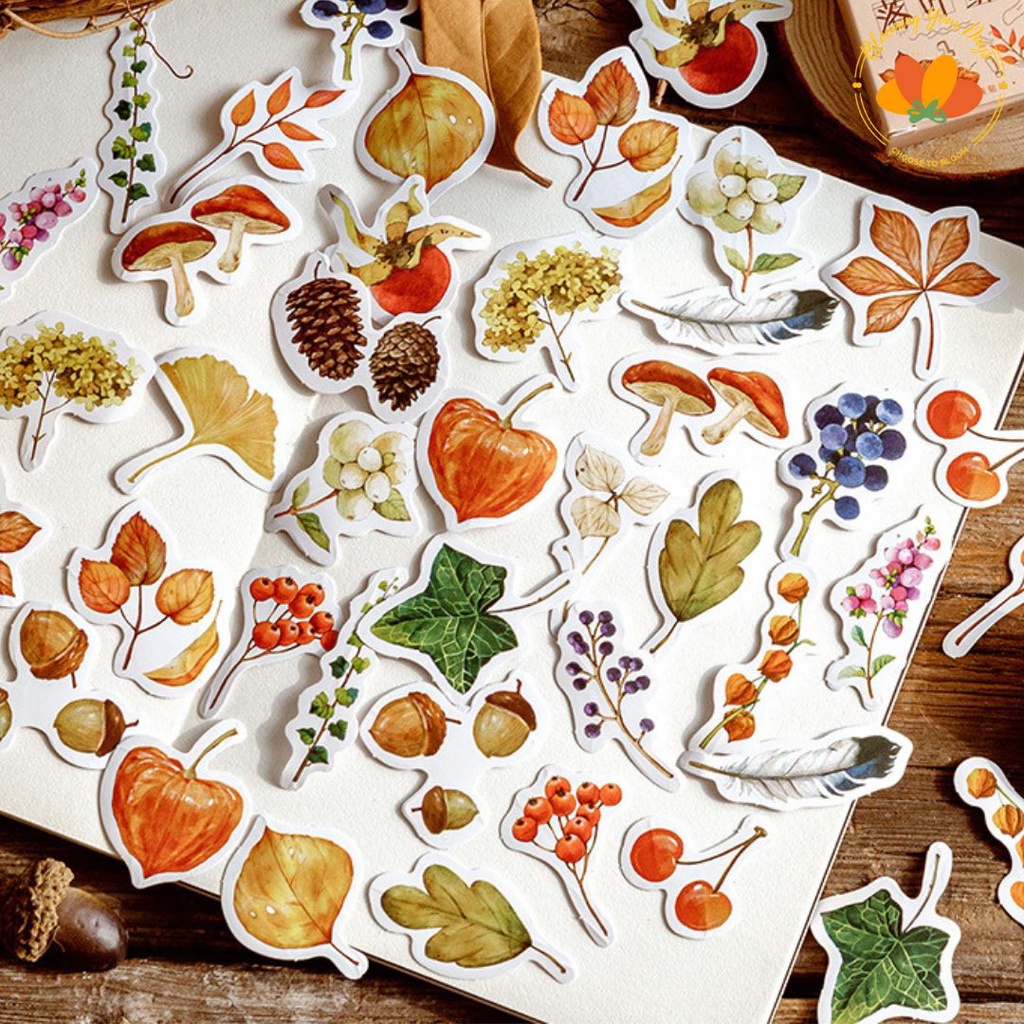 Jual 45pcs Stiker motif hutan tanaman musim gugur scrapbook jurnal ...