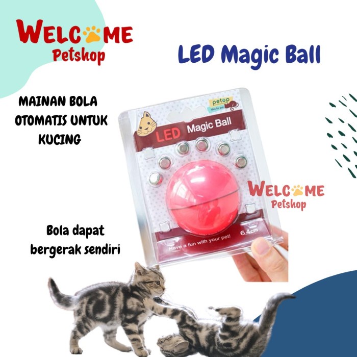 Jual Mainan Led Magic Ball / Mainan Kucing Anjing Otomatis Gerak Bola ...