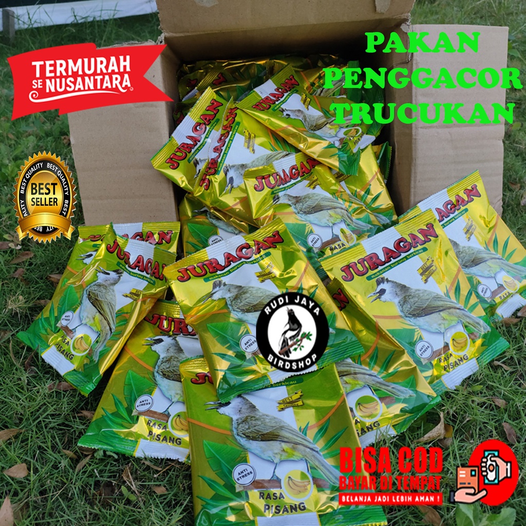 Jual READY MAKANAN BURUNG TRUCUK CUCAK KUTILANG TROCOK VOER PUR JURAGAN ...