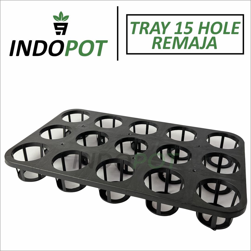 Jual Trai Tray Anggrek Remaja 15 Hole Untuk Softpot Trai Anggrek Lubang ...