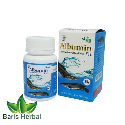 Jual Kapsul Ekstrak Ikan Gabus/Kutuk Albumin Fit Inayah - 60 Kapsul | Shopee Indonesia