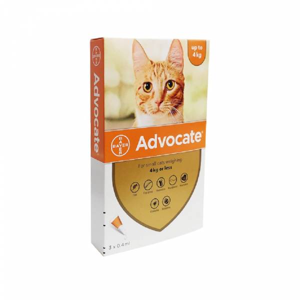Jual advocate cat