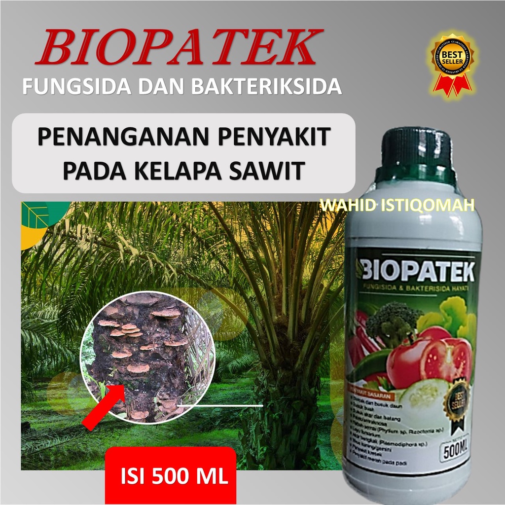Jual PROMO BIOPATEK Fungisida Virus Kuning daun kelapa sawit,Pupuk ...